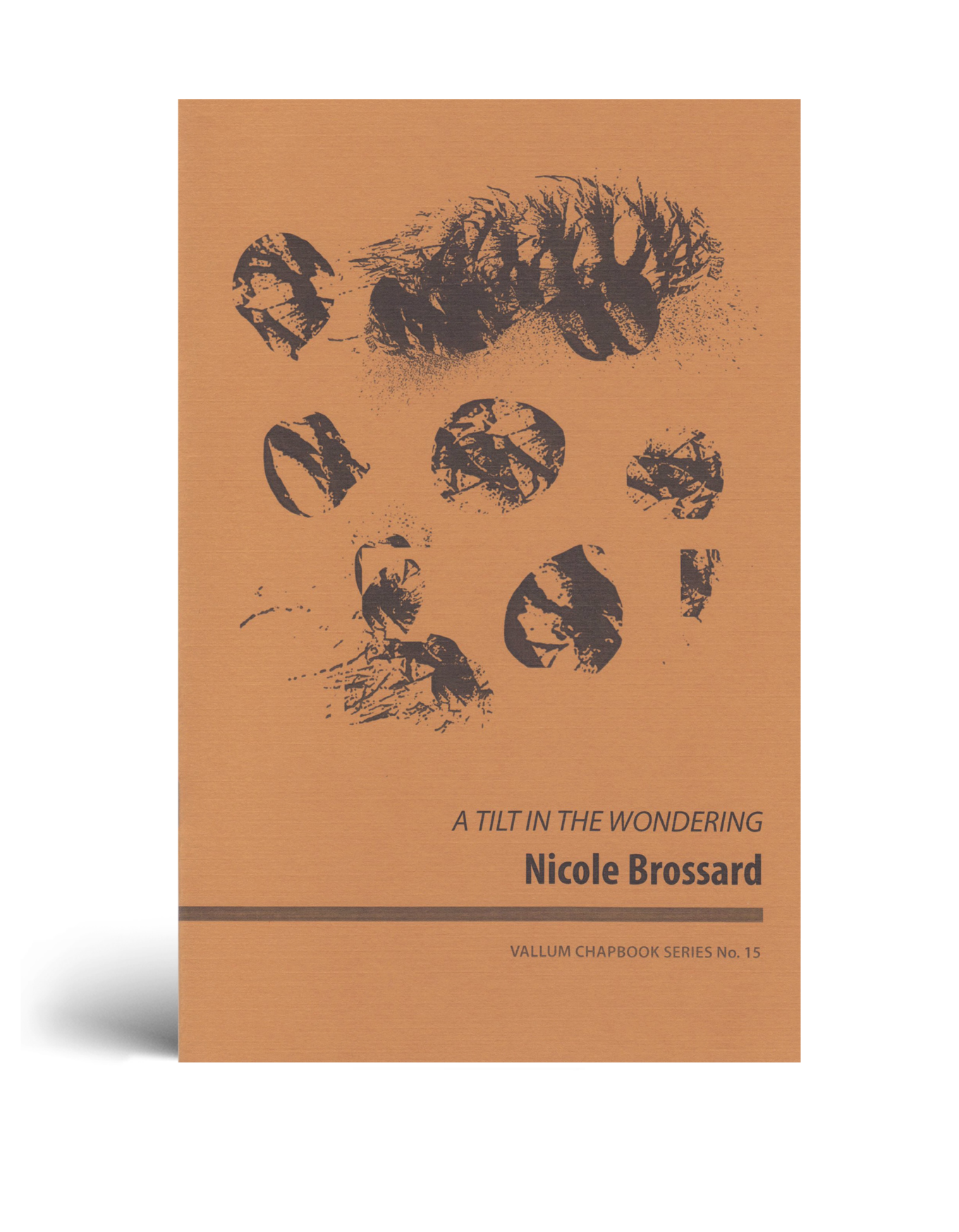 15 | Nicole Brossard | A Tilt in the Wondering - Vallum Magazine