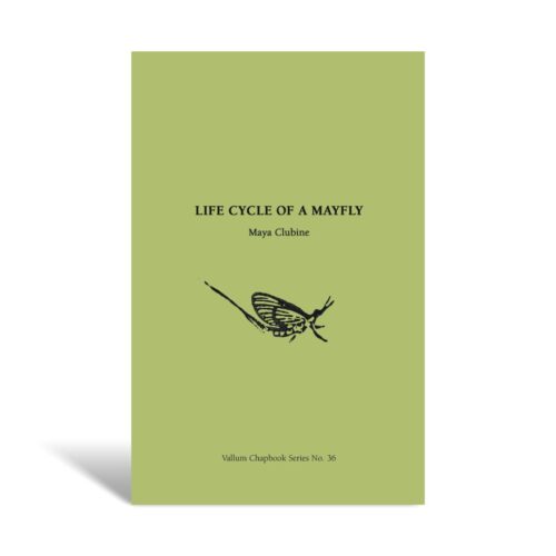 36 | Maya Clubine | Life cycle of a Mayfly - Vallum Magazine