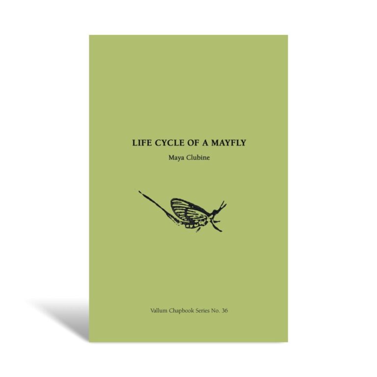 36 | Maya Clubine | Life cycle of a Mayfly - Vallum Magazine
