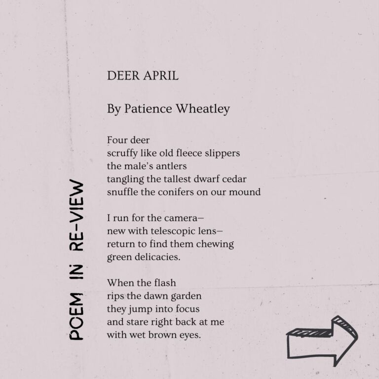 Vallum Magazine - contemporary poetry